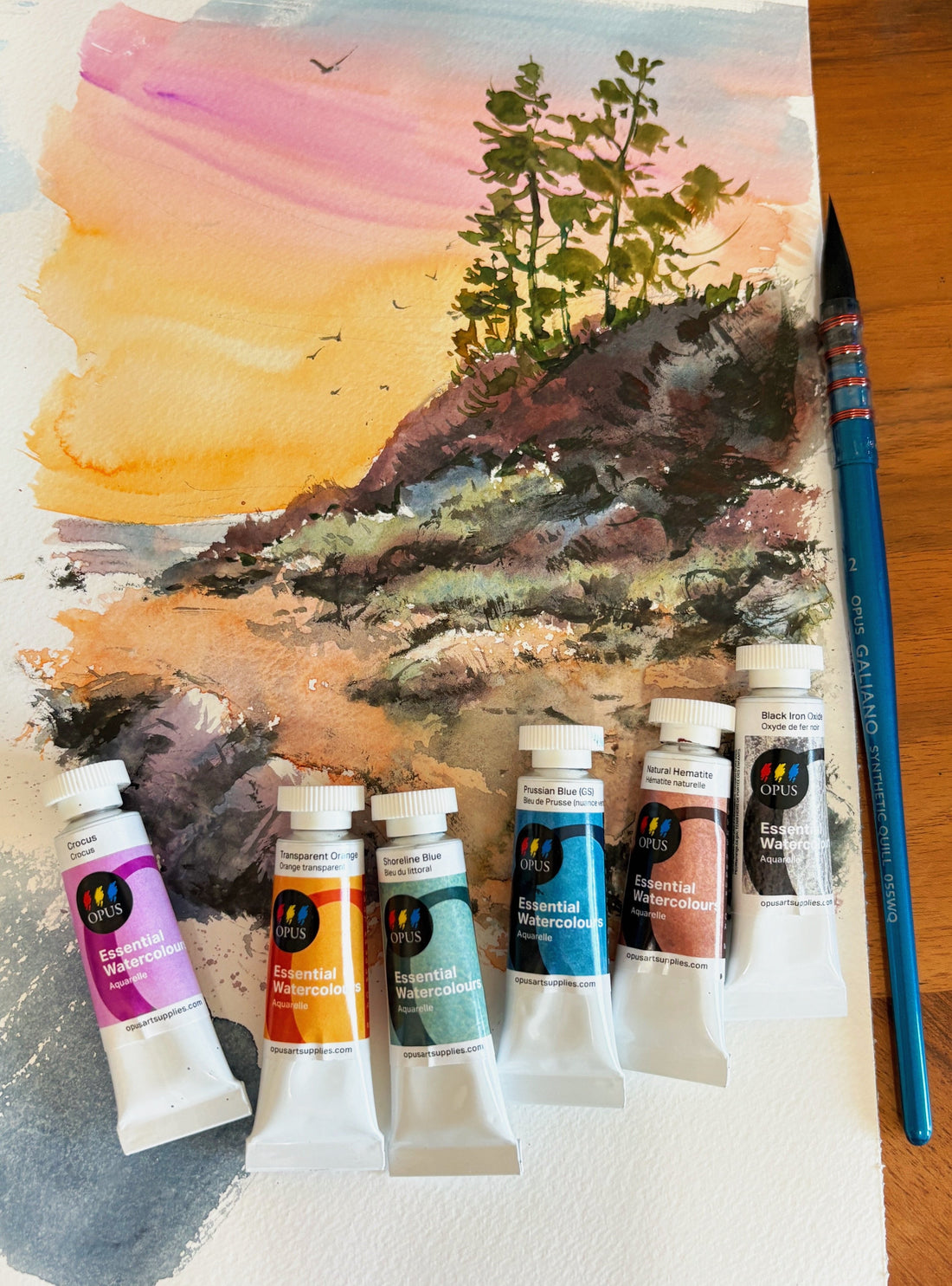 Watercolour for Beginners: Supplies You Actually Need – Opus Art Supplies