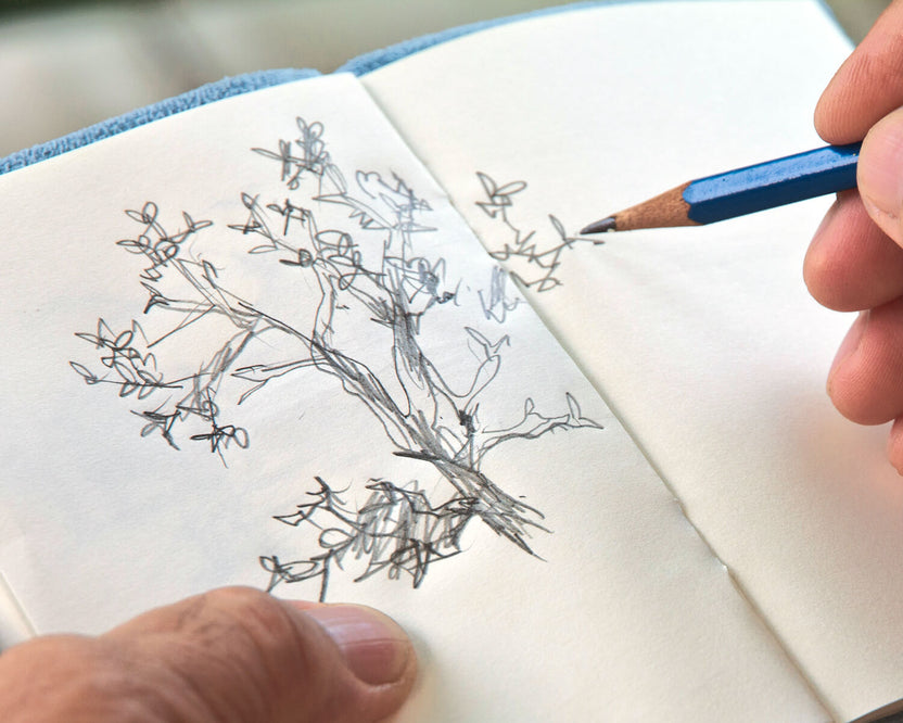 Discover Graphite Drawing – Opus Art Supplies