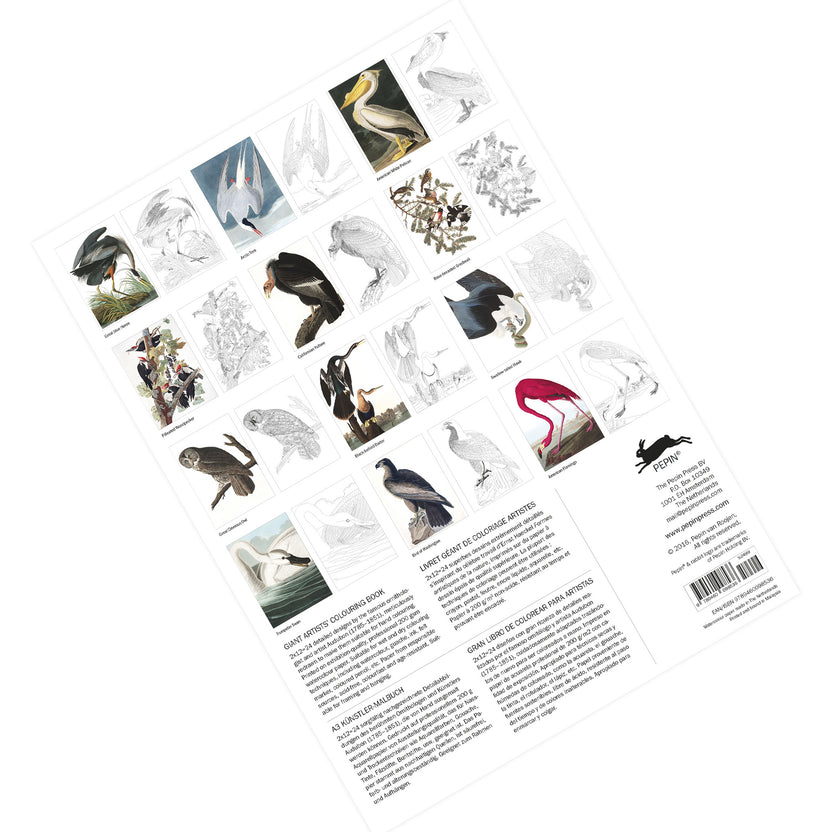 Pepin Press Giant Artists' Colouring Book - Audubon's Birds of America ...
